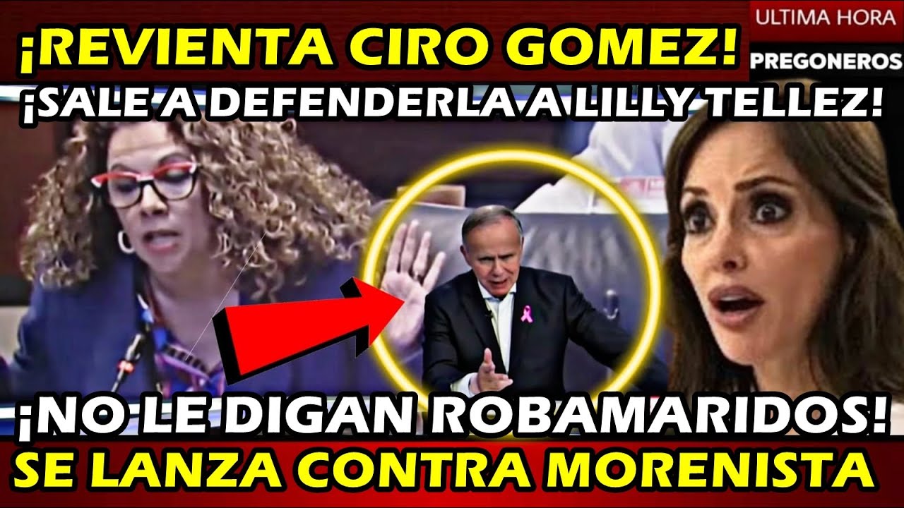 ¡REVIENTA CIRO! ¡SALE A DEFENDER A LILLY TELLEZ! NO LE DIGAN ...