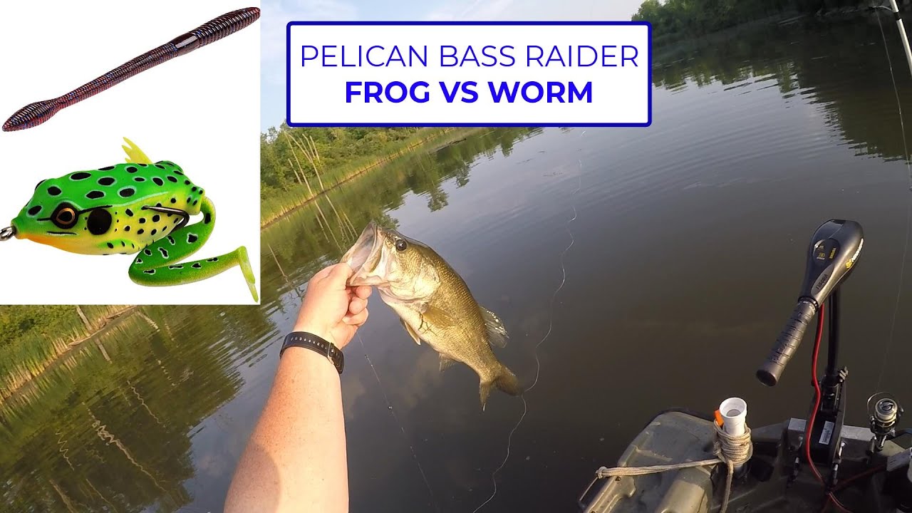 FROG VS WORM BASS FISHING - YouTube