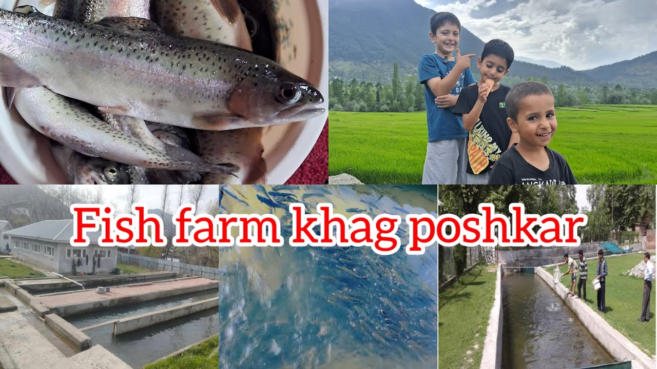 Visit to fish farm khag #kashmir | jehAar vlogs| jehangir Bukhari - YouTube
