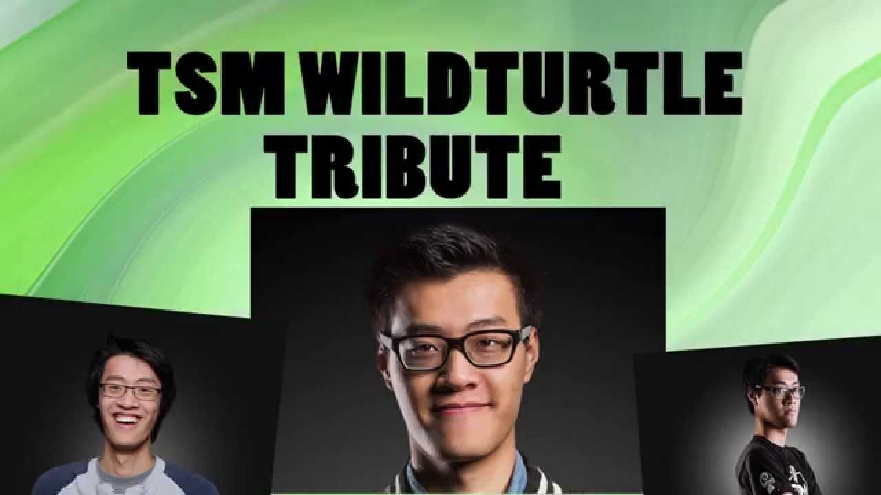 TSM Wildturtle TRIBUTE [MONTAGE] - YouTube