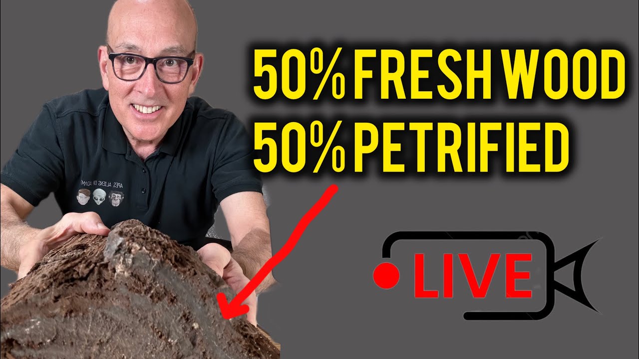 John Adolfi LIVE! UnBoxing - Part Petrified and Part Fresh Wood!! - YouTube