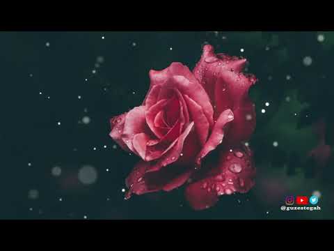 Cemal Süreya - Sevgilim Ben Şimdi