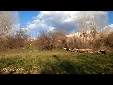 Malatya'da yine buluştuk keçiler ve kuzularla keyif de bu 🐑🌷❤ 🐑