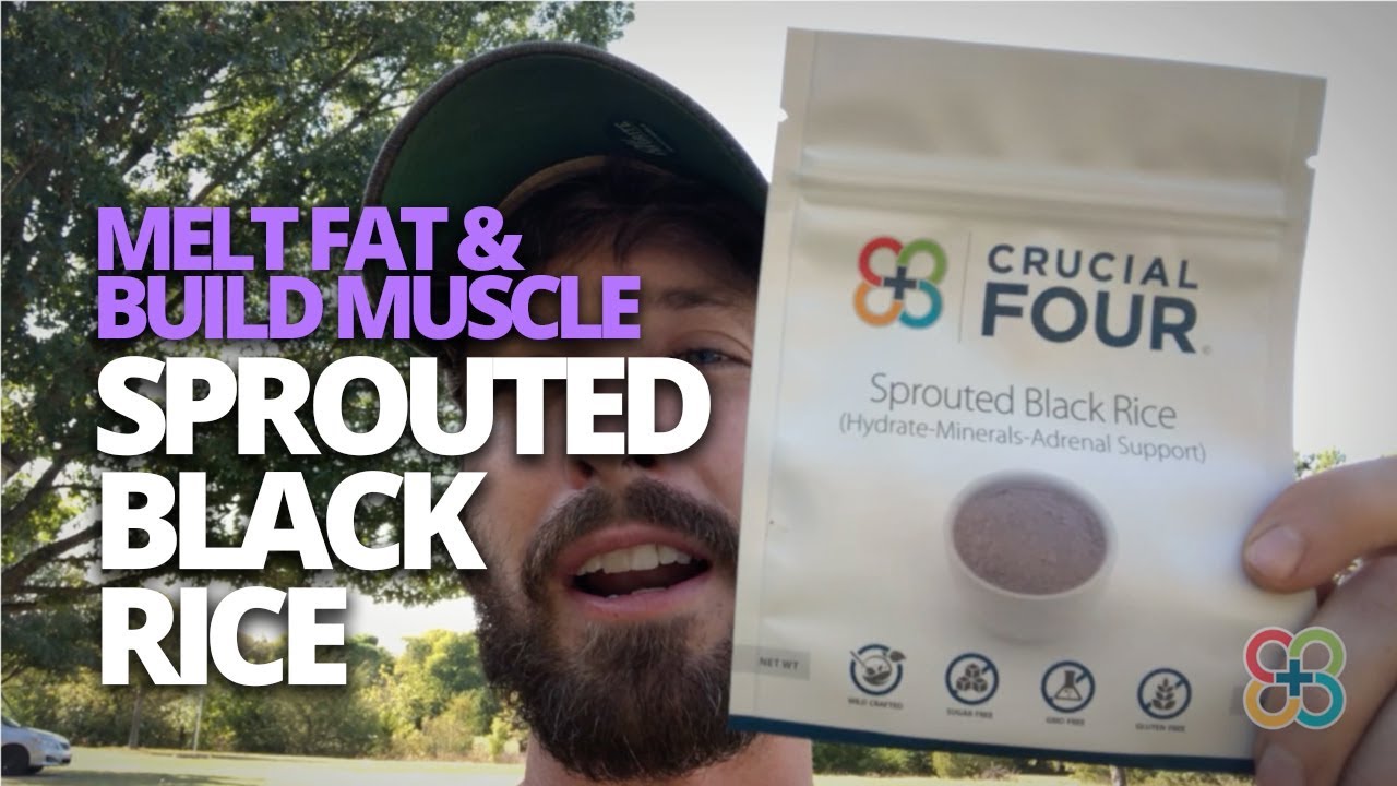 Health Benefits of Sprouted Black Rice with Charles Barber - YouTube