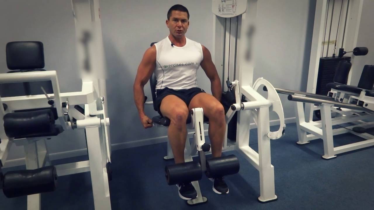 Leg Extensions (Exercises.com.au) - YouTube