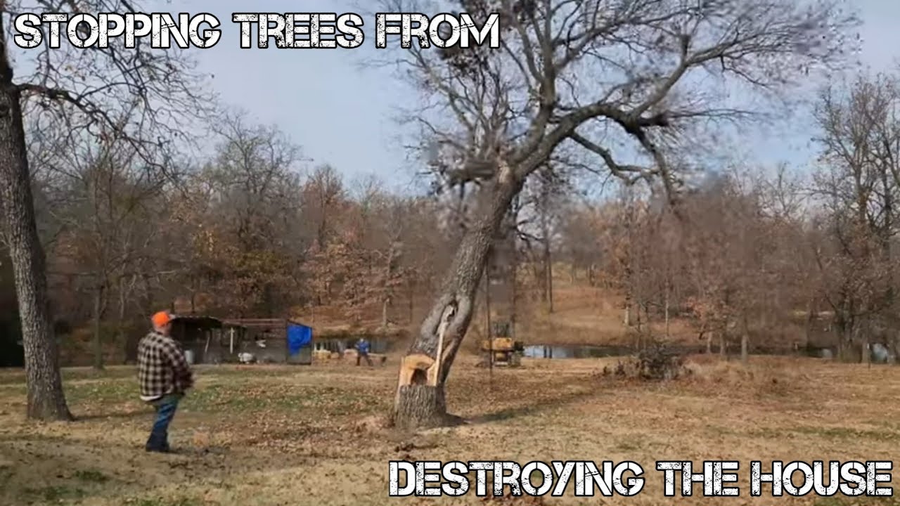 Avoid Catastrophe | Stop Trees from Destroying Your House! - YouTube