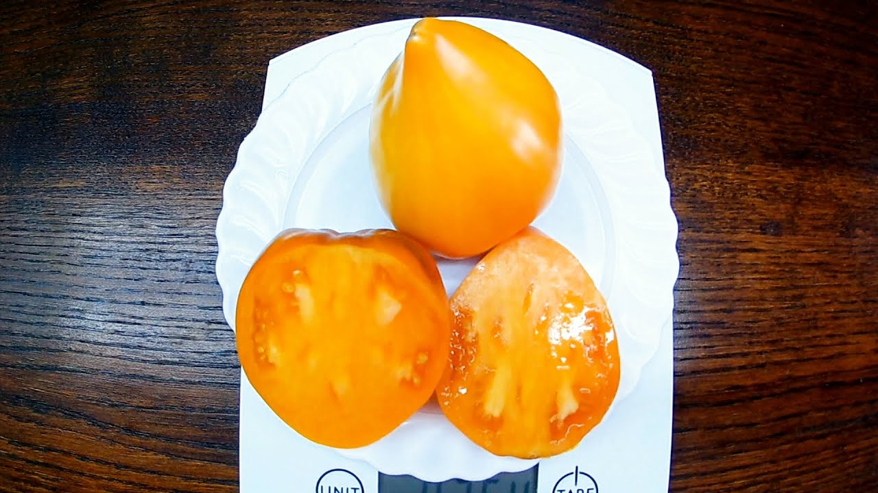 German Orange Strawberry. Томат - Немецкая земляника оранжевая - YouTube