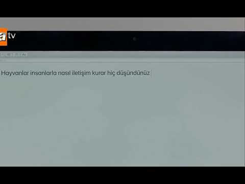 Serhat kılıç- Sevgi