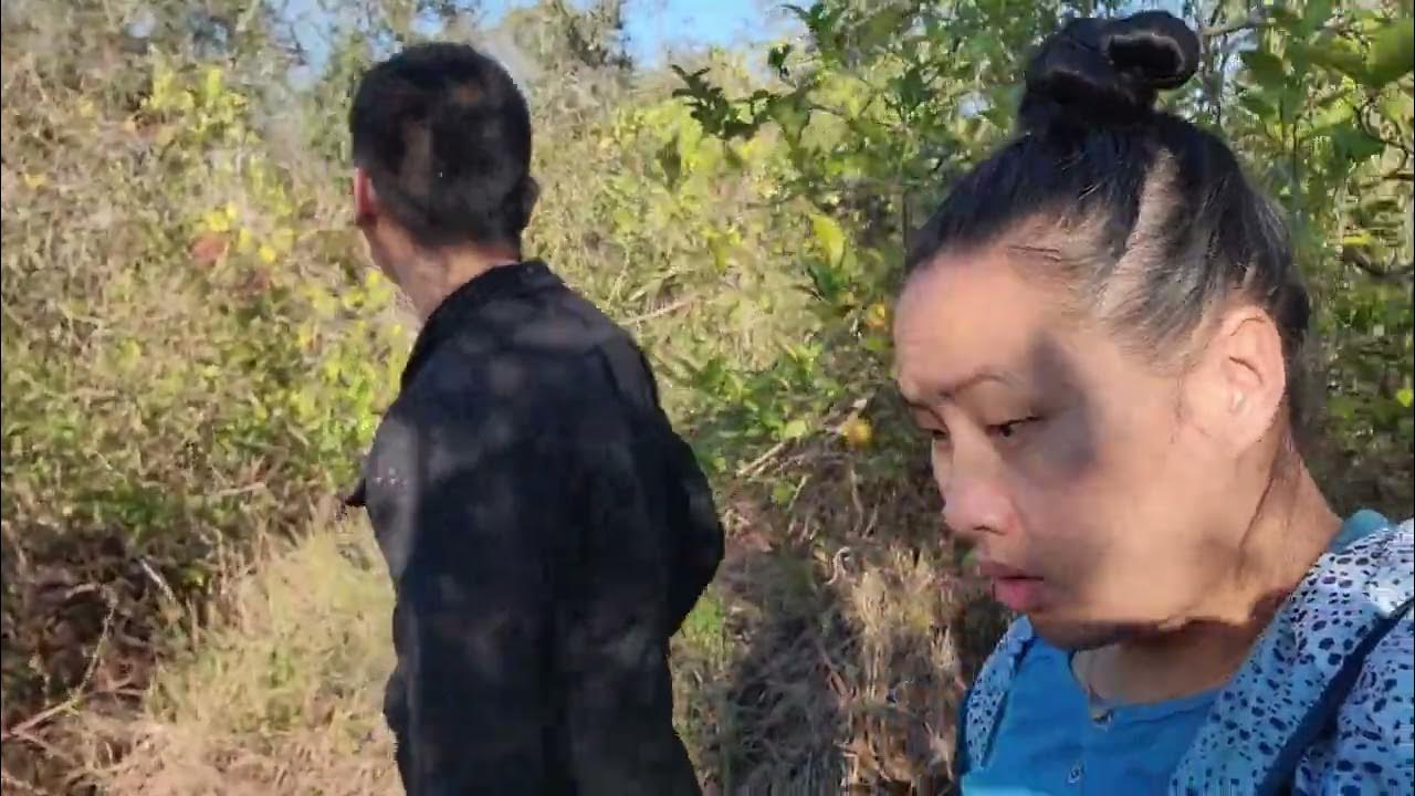 De Txiv Qaub Hauv Av Florida - YouTube