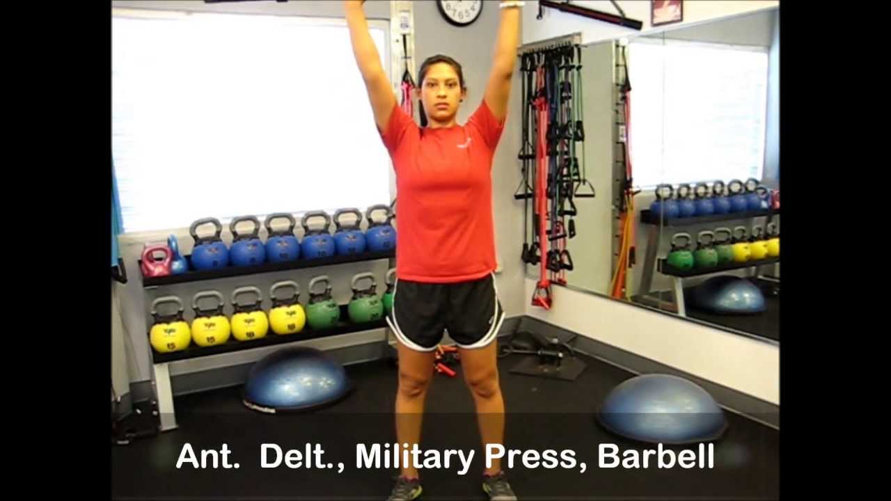 Ant Delt., Military Press, Barbell - YouTube