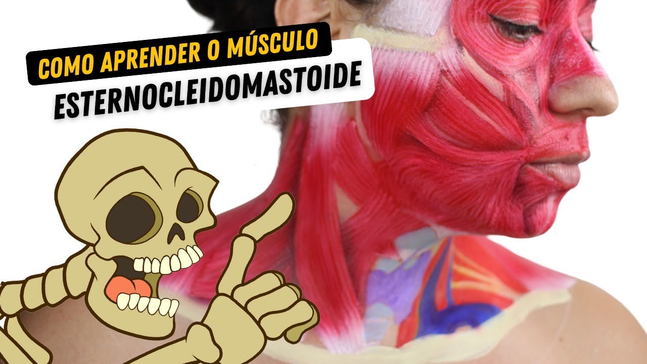 Como APRENDER O Músculo Esternocleidomastóide - Anatomia Humana - YouTube