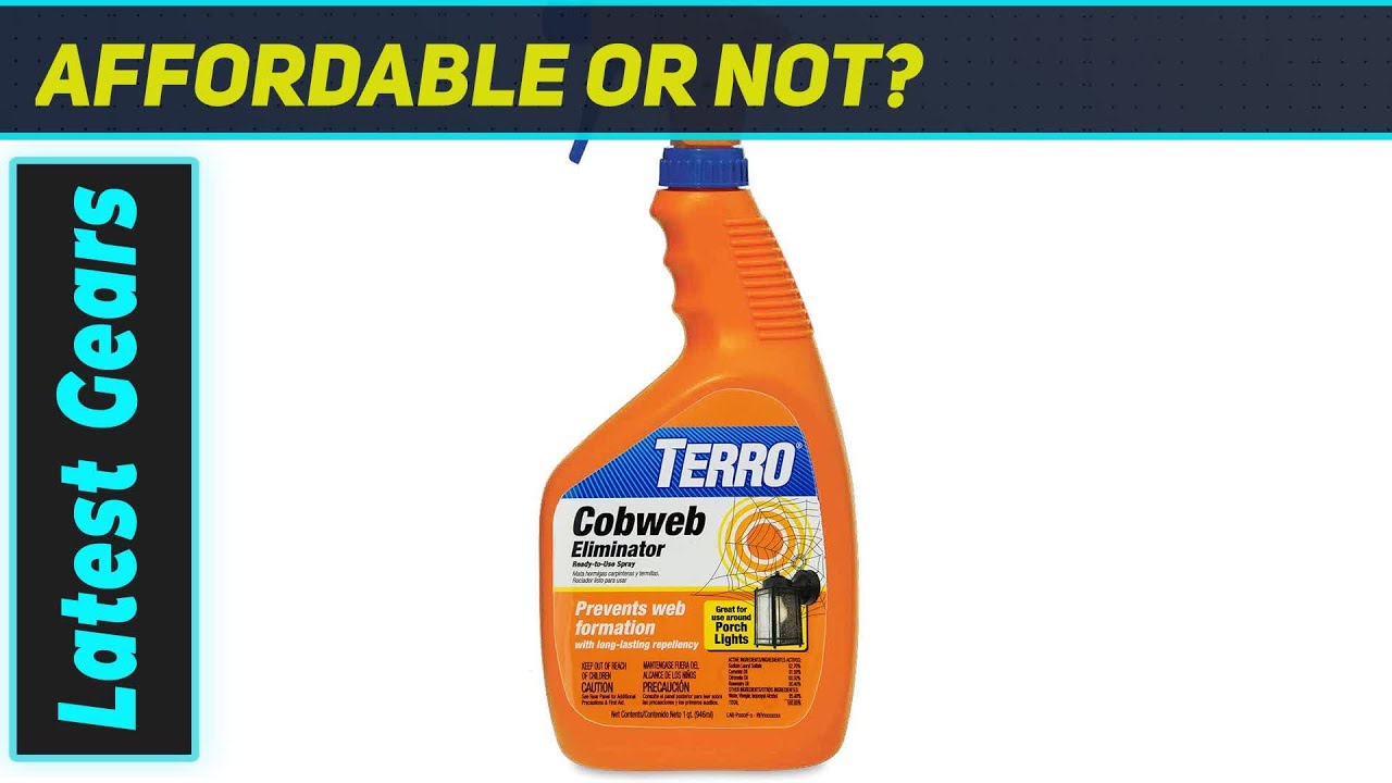 Best Spider Web Eliminator? TERRO T2360 Spray - YouTube