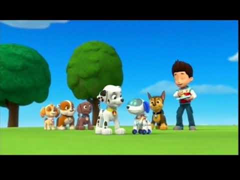 Nickelodeon Split Screen Credits Error Appears for a Second
