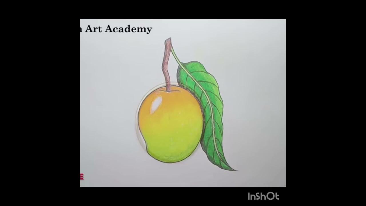 how to draw mango drawing/easy steps to draw mango - YouTube