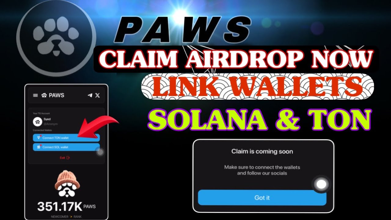 How to Claim Paws Airdrop | How to connect wallet in Paws | Paws ...