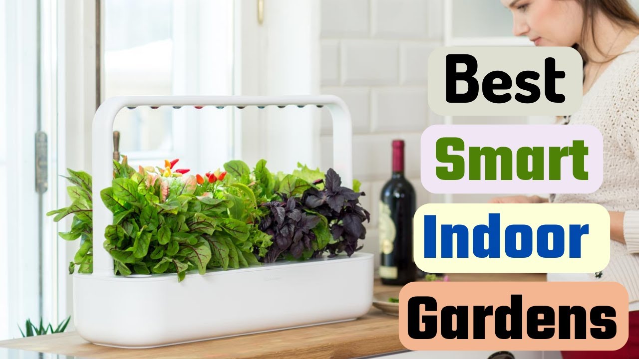 Best Smart Indoor Gardens | Top 10 Best Smart Indoor Garden Systems ...