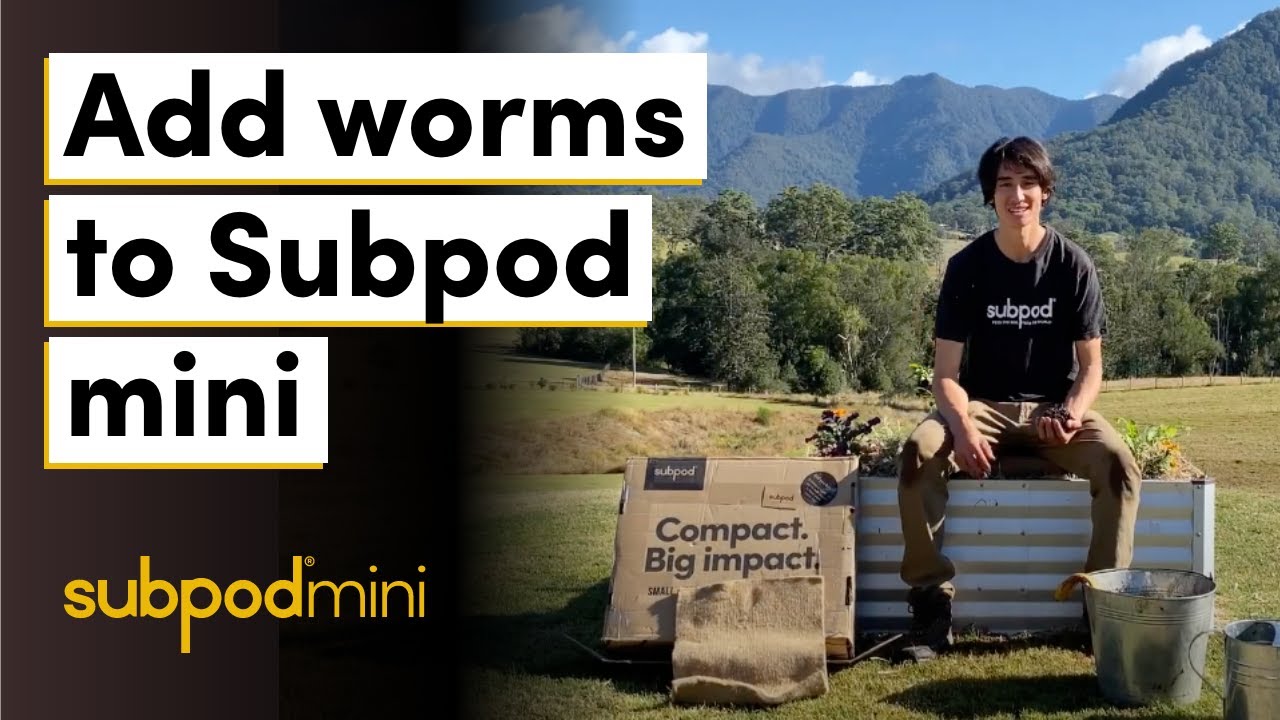 Add worms to Subpod Mini - YouTube