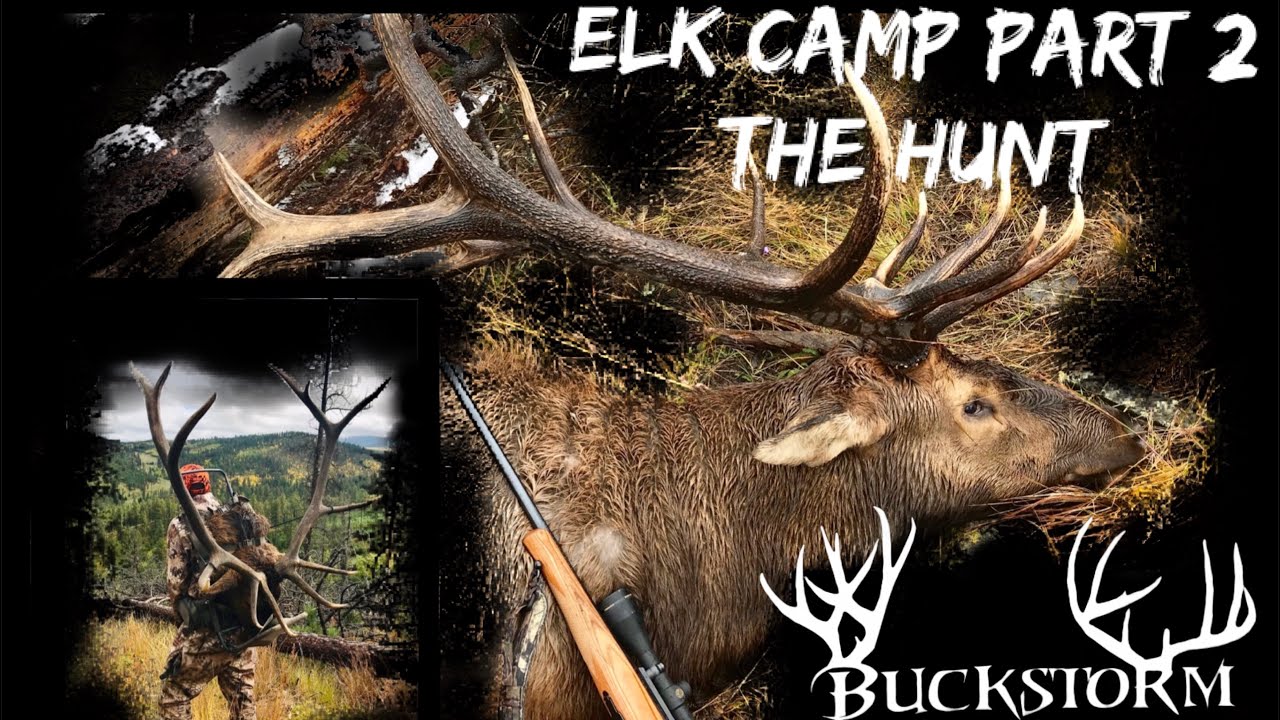 ELK CAMP | PART 2: THE HUNT - YouTube