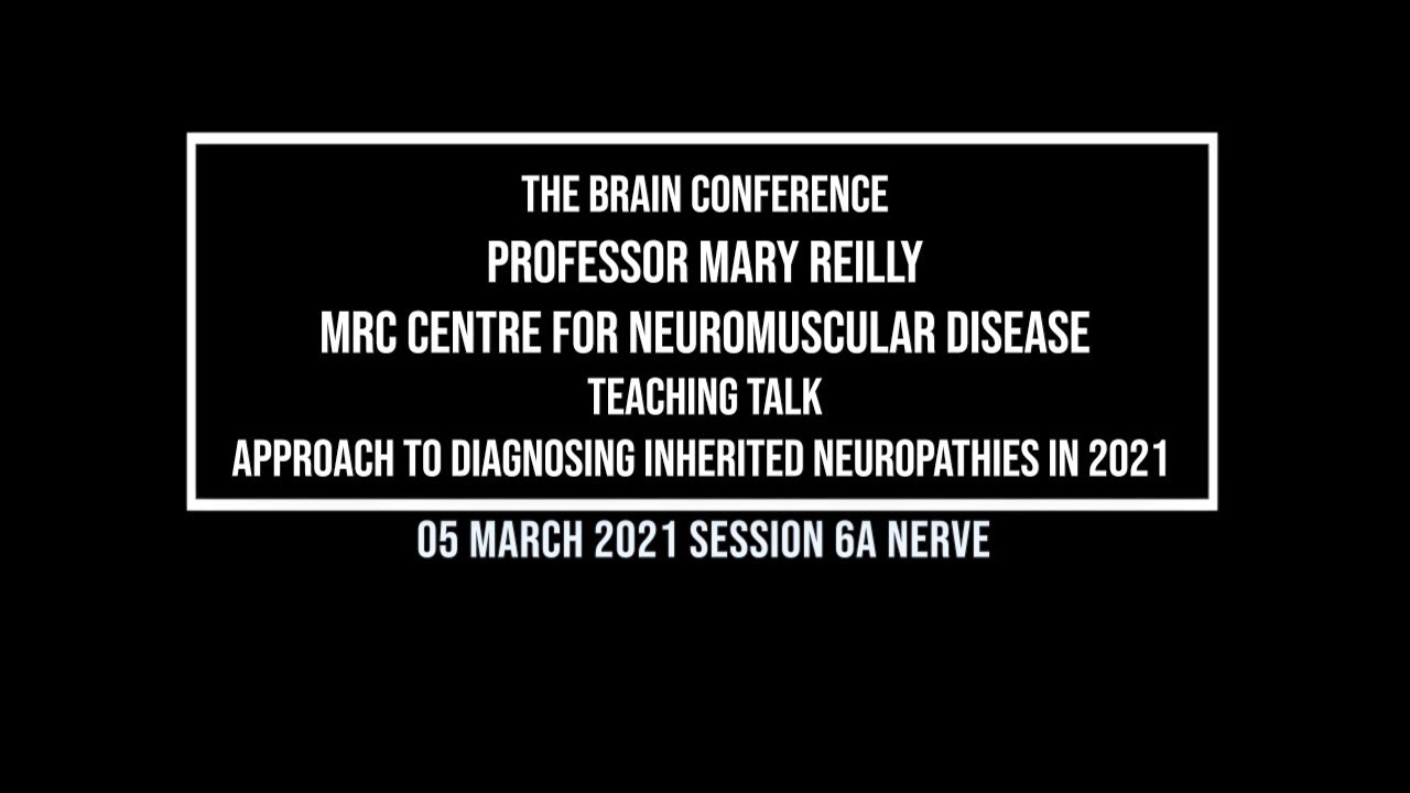 The Brain Conference 2021: Teaching Talk: Mary Reilly - YouTube