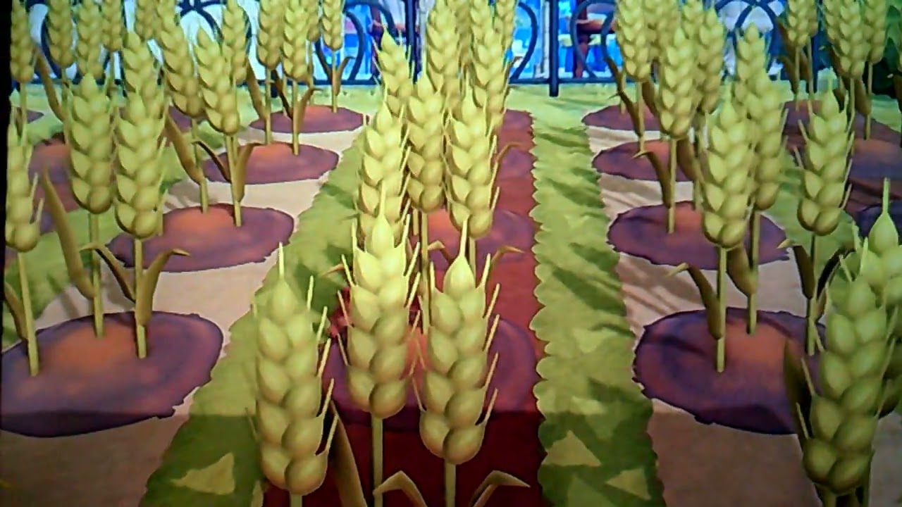 my wheat field in animal crossing new horizons - YouTube