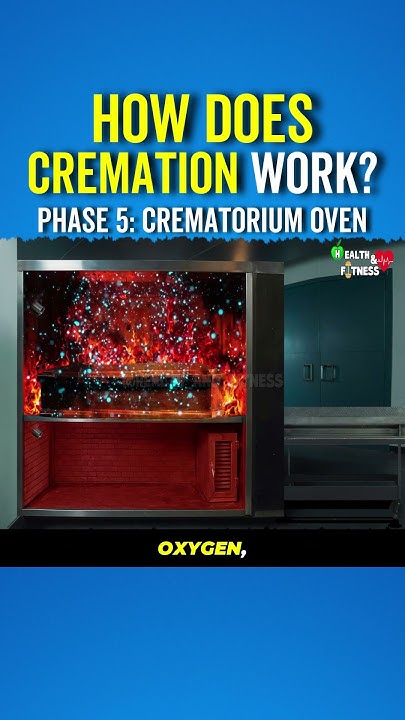 How Does Cremation Work? How Does a Cremation Oven Work? - YouTube