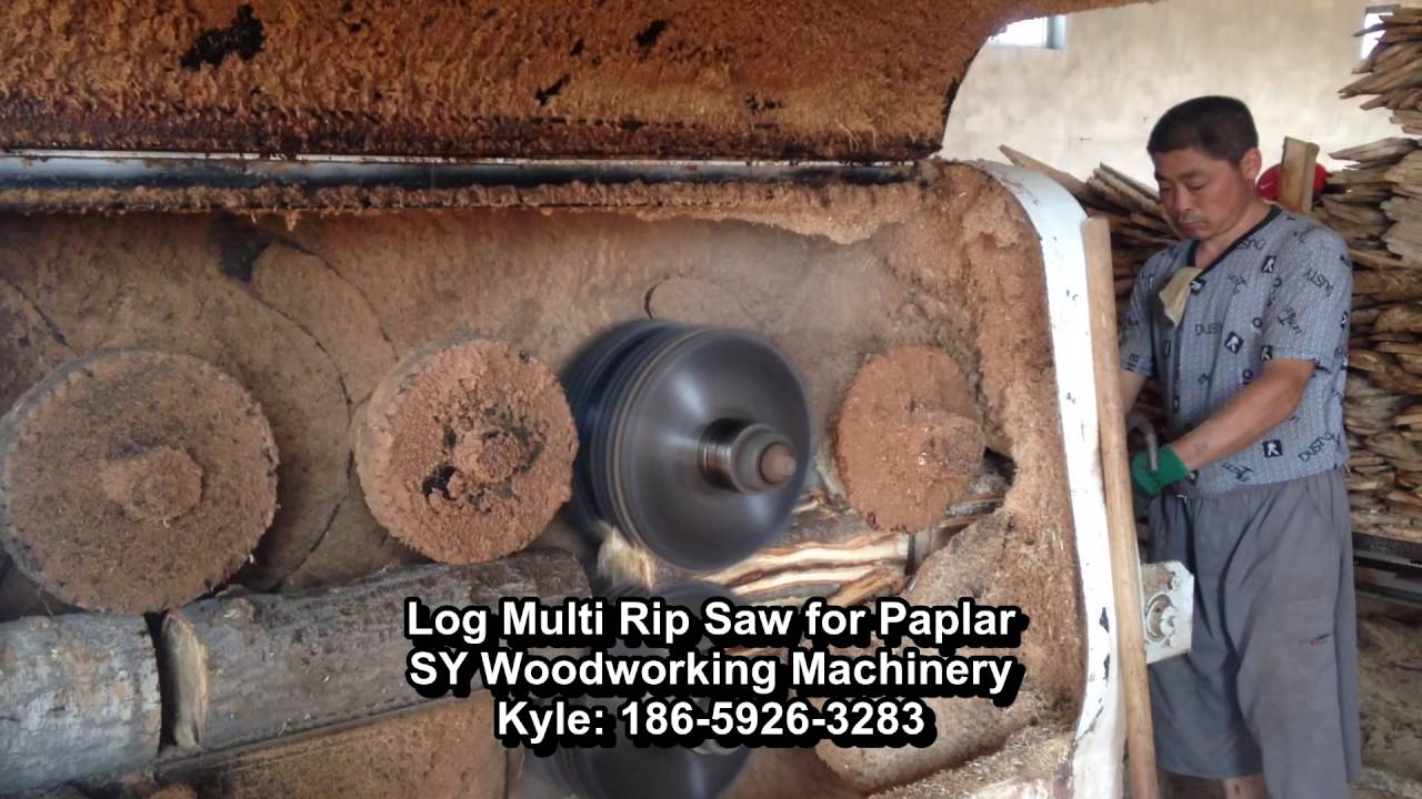 Round Log Multi Rip Saw for poplar log multi blade saw multi-rip ...