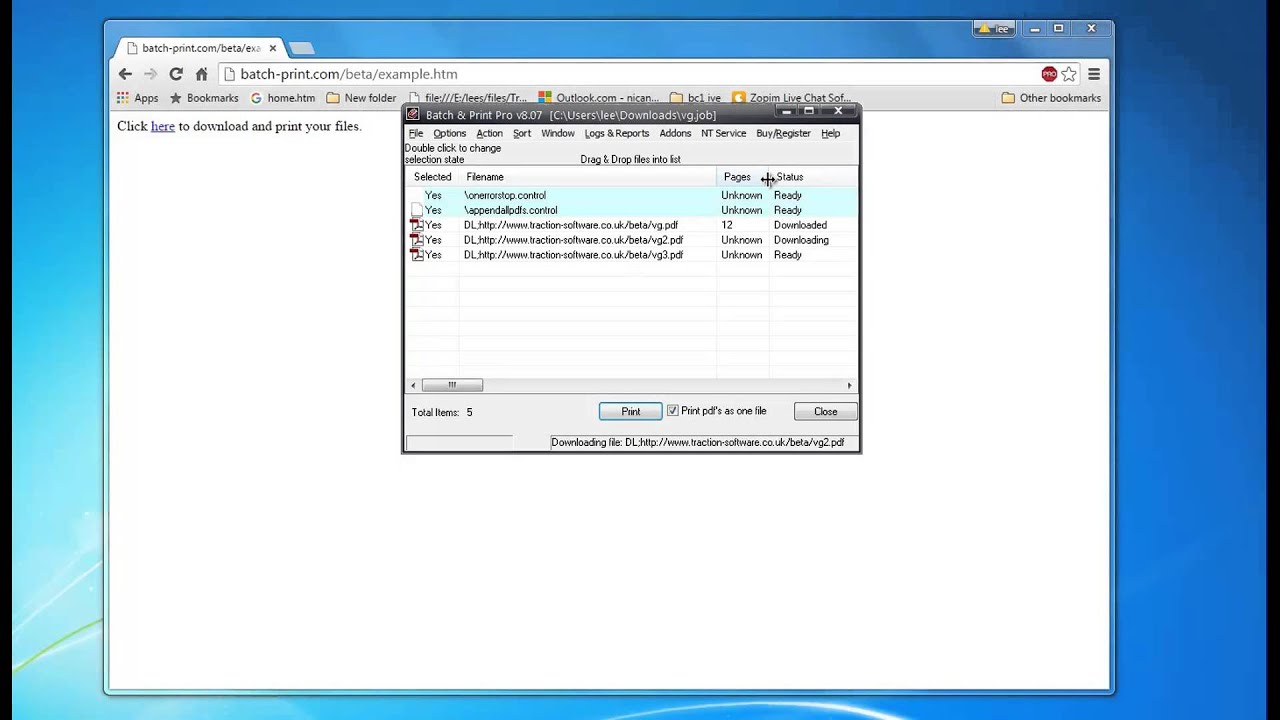 Batch & Print Pro print example from website job file - YouTube