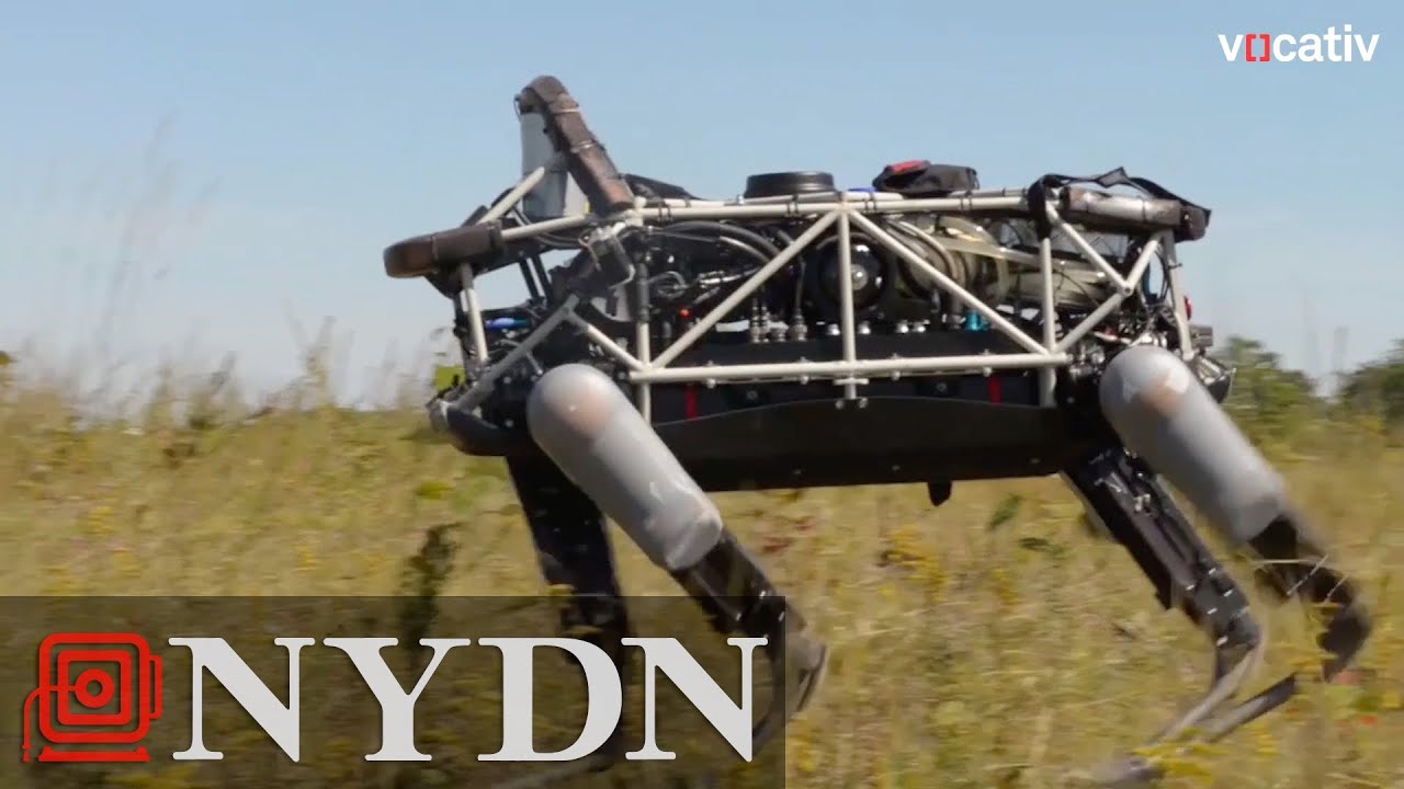 Marines Test Out Their Robot “Dog” - YouTube