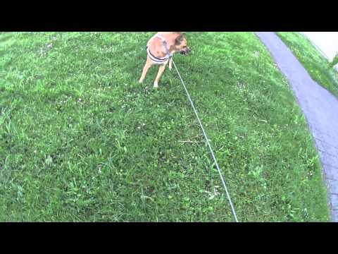 The Killer 2, der Kampf um das Spielzeug