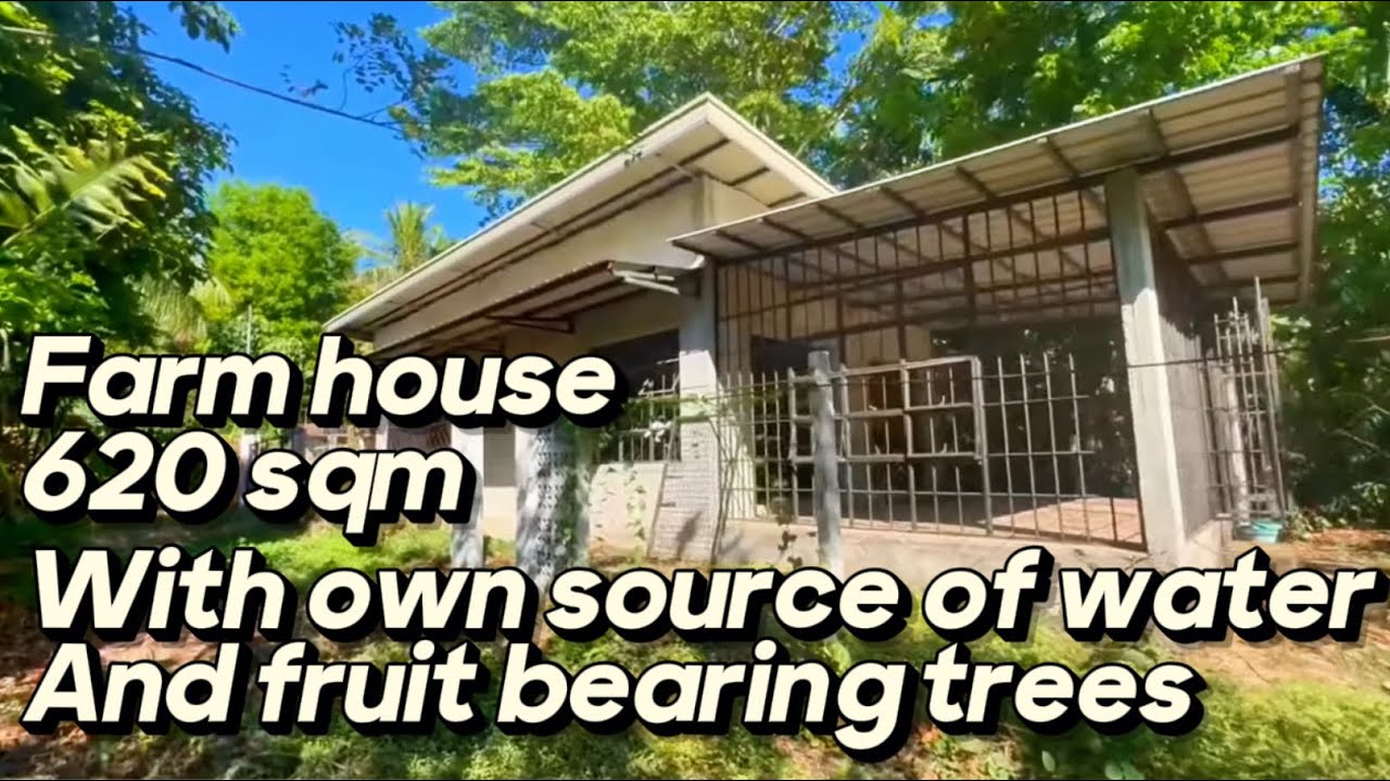 Nov-444 San pablo city retirement farm house and lot with deep well and ...