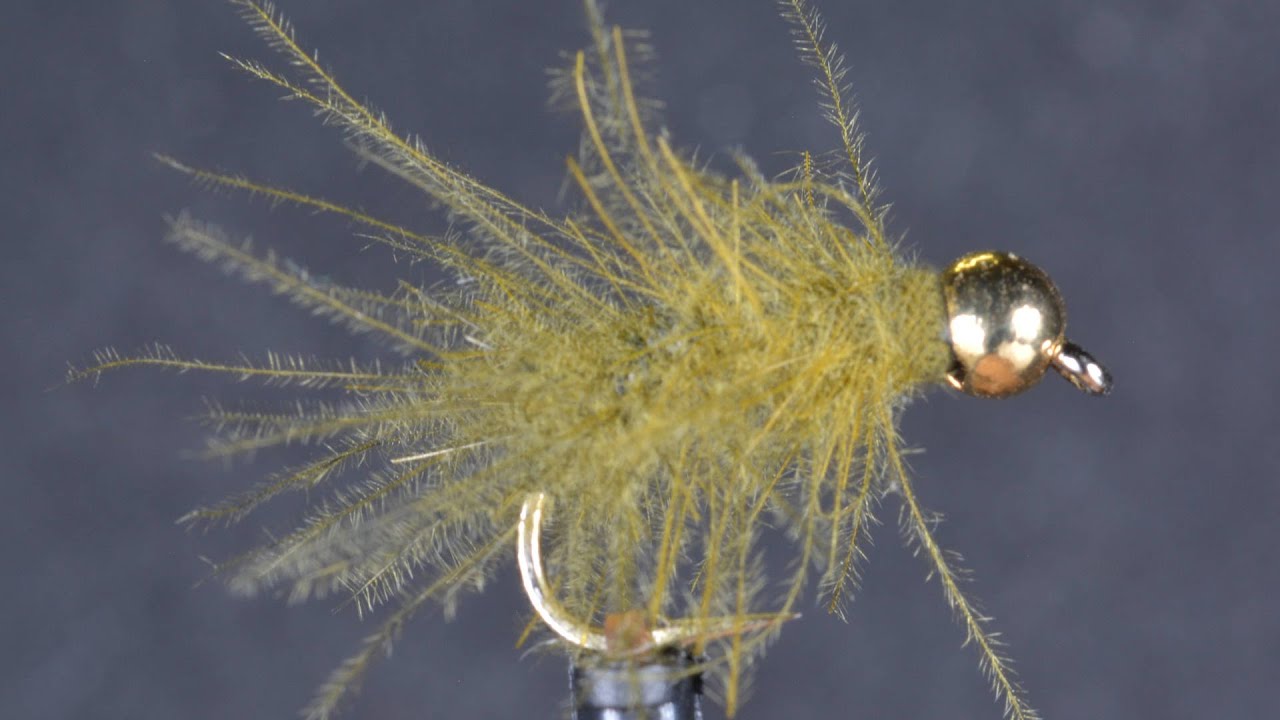 The GREEN HORNET nymph, easy to tie and super effective - YouTube