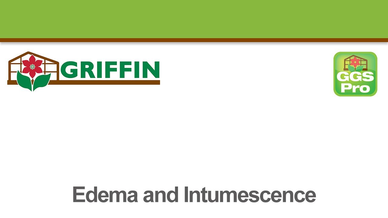 Edema and Intumescence - YouTube