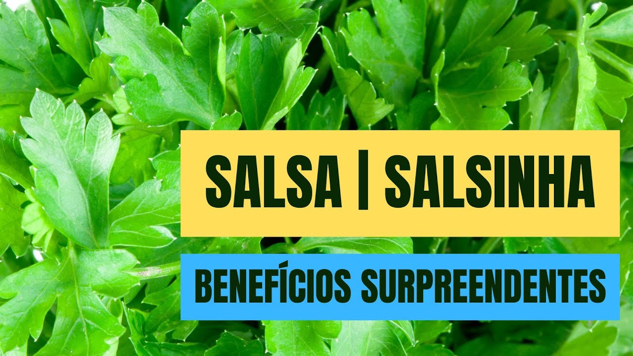 Salsa: A erva versátil do Mediterrâneo - YouTube