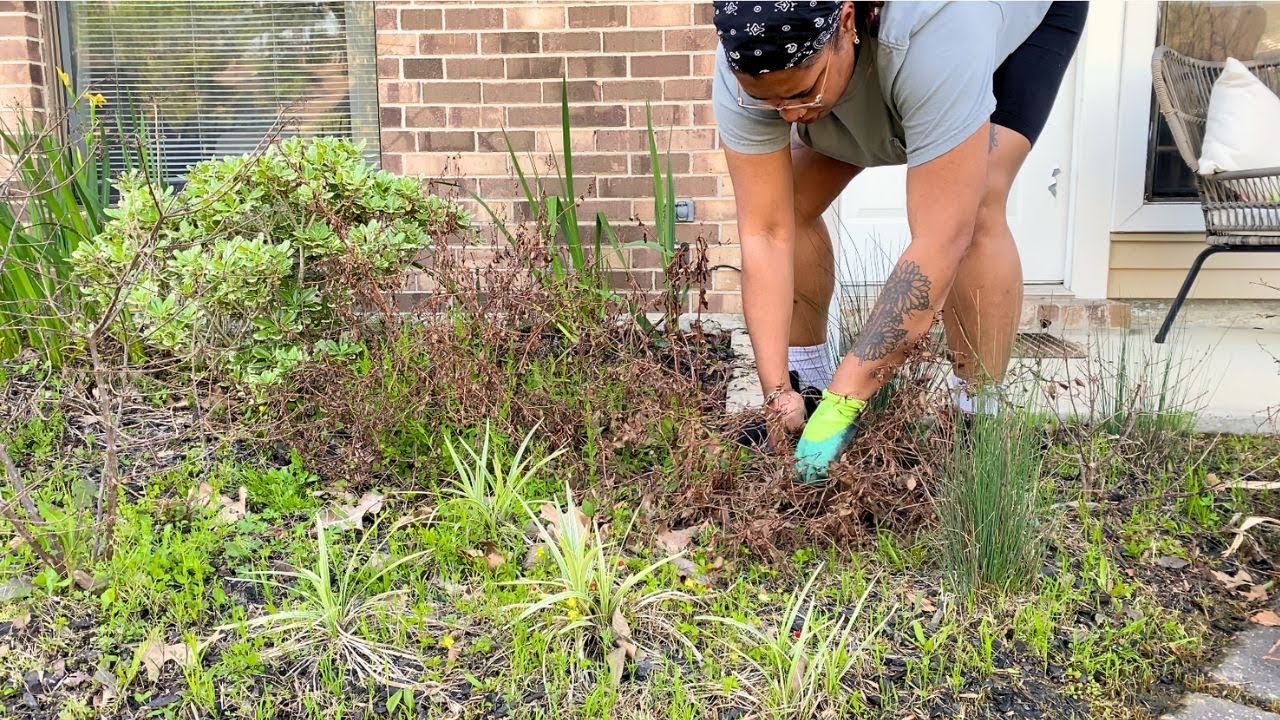 This Garden is an Overgrown Nightmare! Satisfying Spring Flower Bed ...
