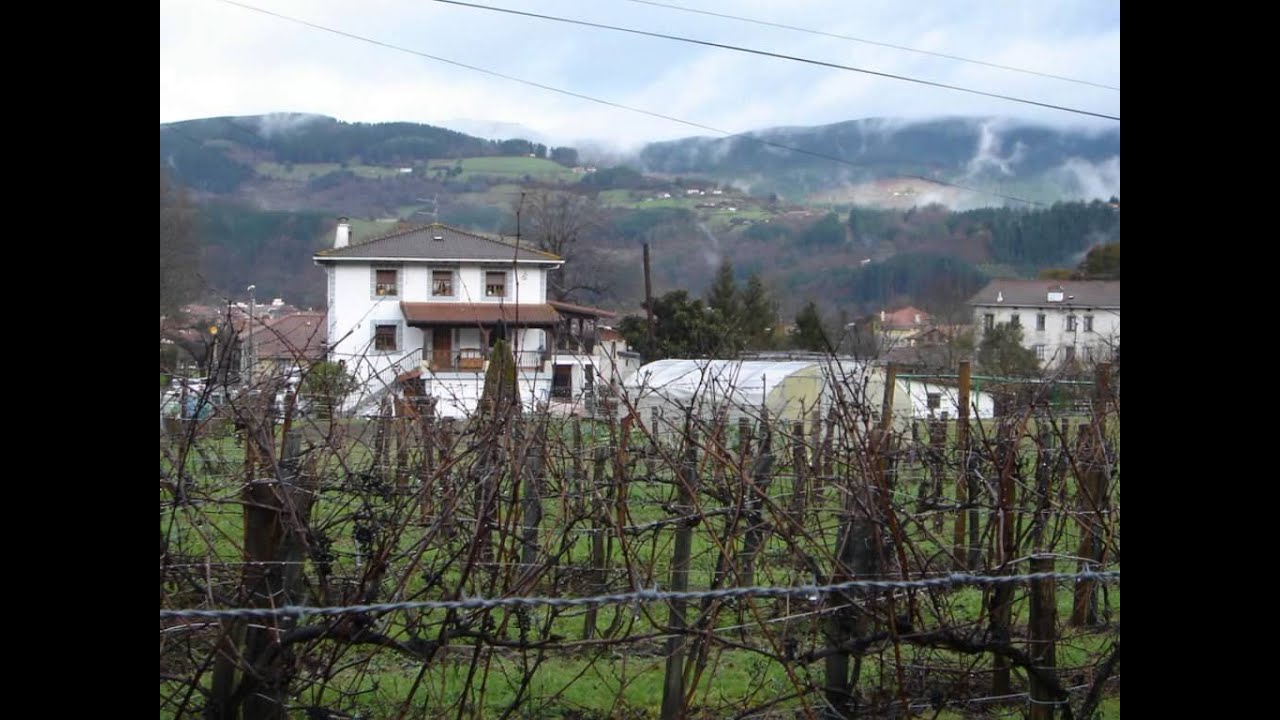 PASEO POR ZALLA - YouTube