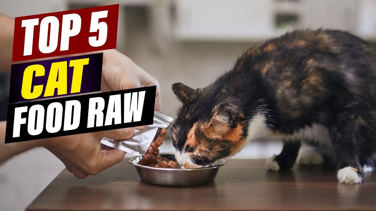 Best Raw Cat Food: A Complete and Balanced Diet - YouTube