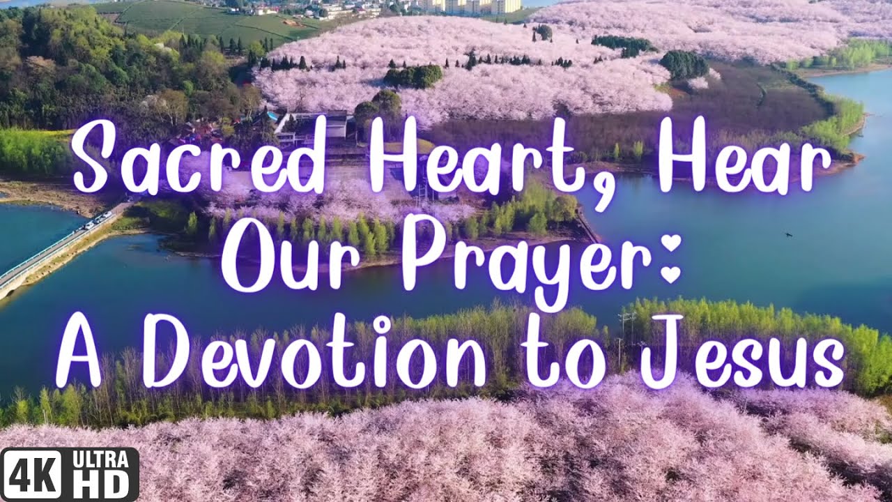 Sacred Heart, Hear Our Prayer: A Devotion to Jesus | Tranquil 4K Video | Serene Audio and BG ...