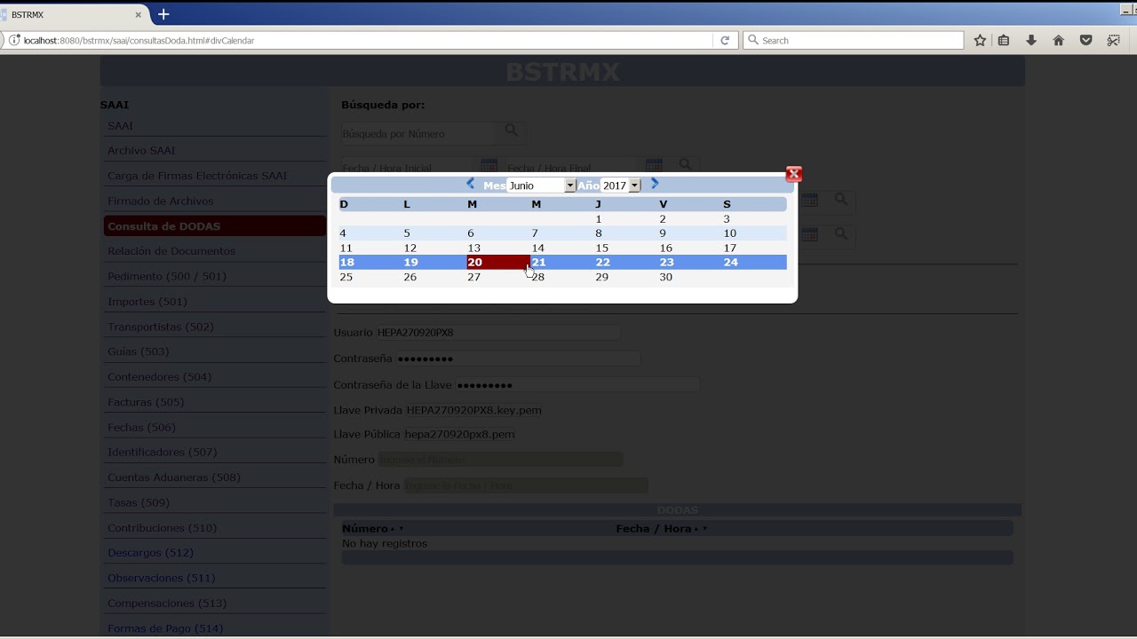 Consulta e Impresión del DODA - YouTube