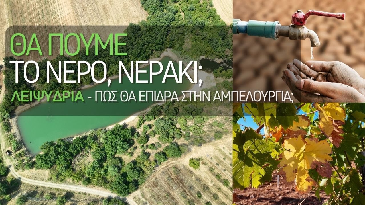 Ανομβρία, Καύσωνας & Λειψυδρία - Επιπτώσεις Στην Καλλιέργεια Της ...