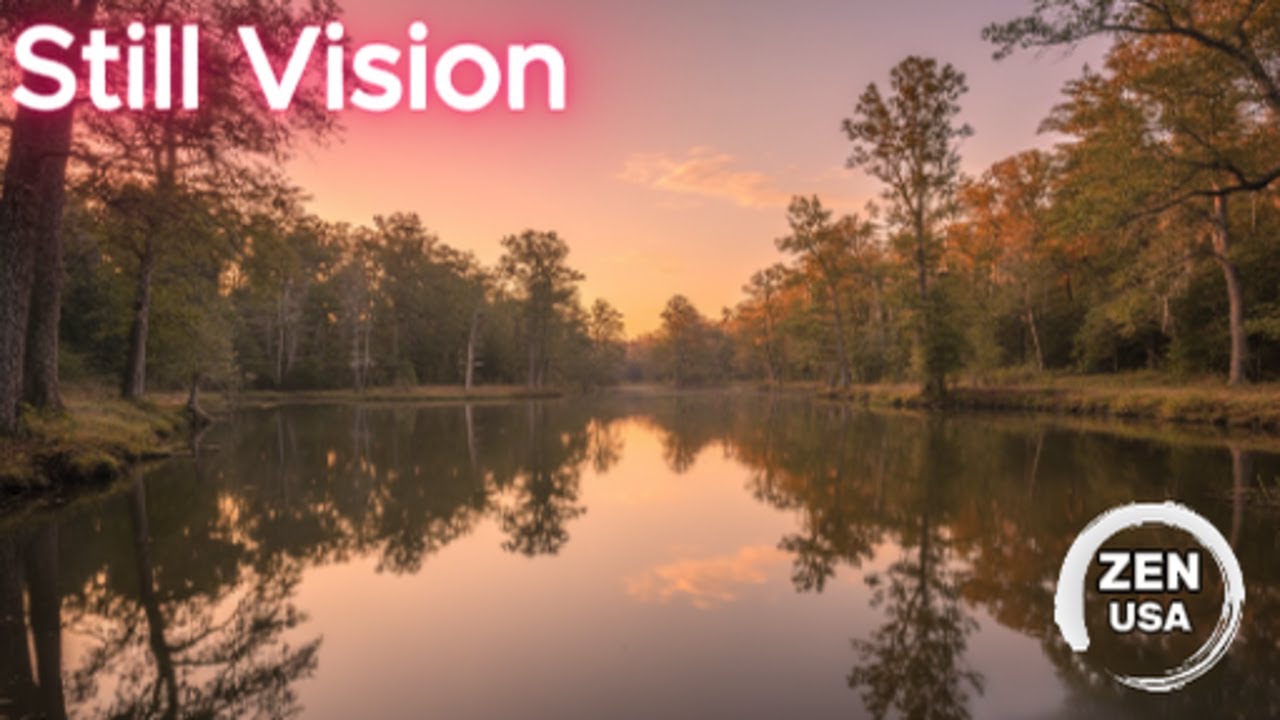 Still Vision: Calm Your Mind and Feel the Moment - YouTube