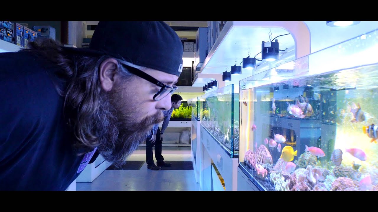 The Envelope - Teaser Trailer - YouTube