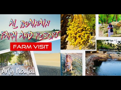 Al Buainain Farm and Resort in Summer| SAUDI ARABIA |അൽ ബുഐനൈൻ ഫാം|സൗദി ...