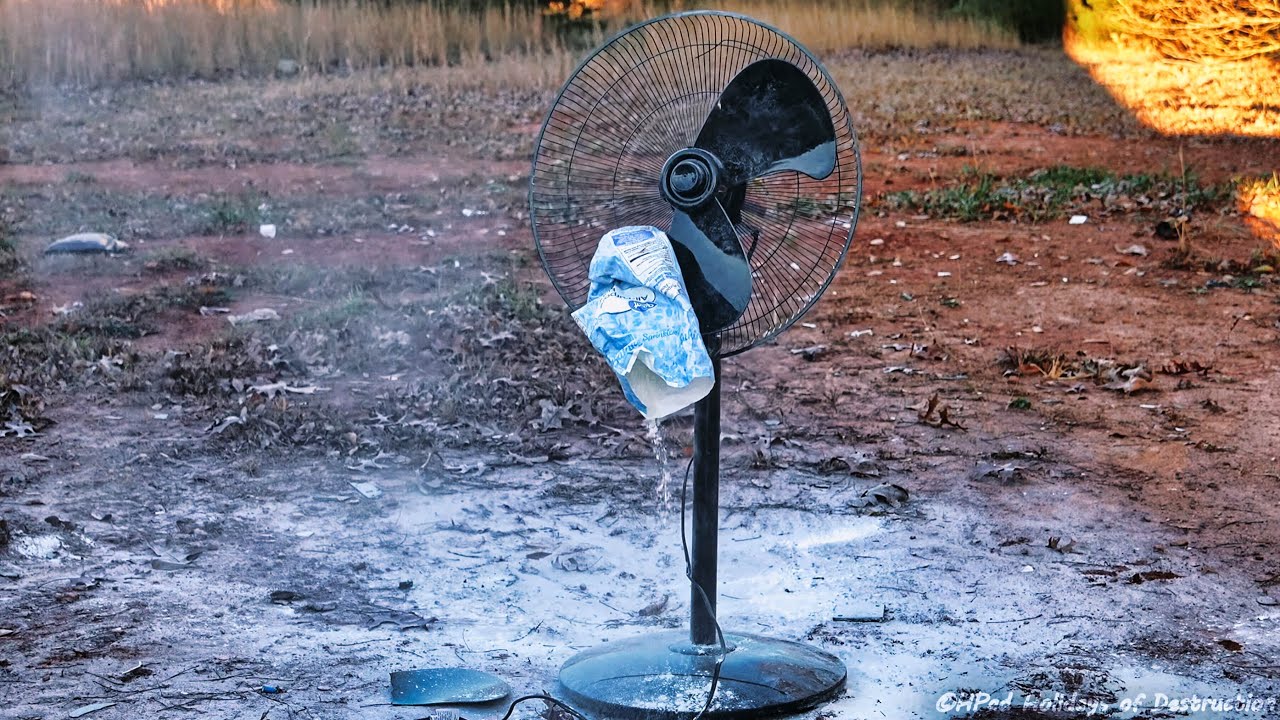 Penguin Stand Fan Destruction - YouTube