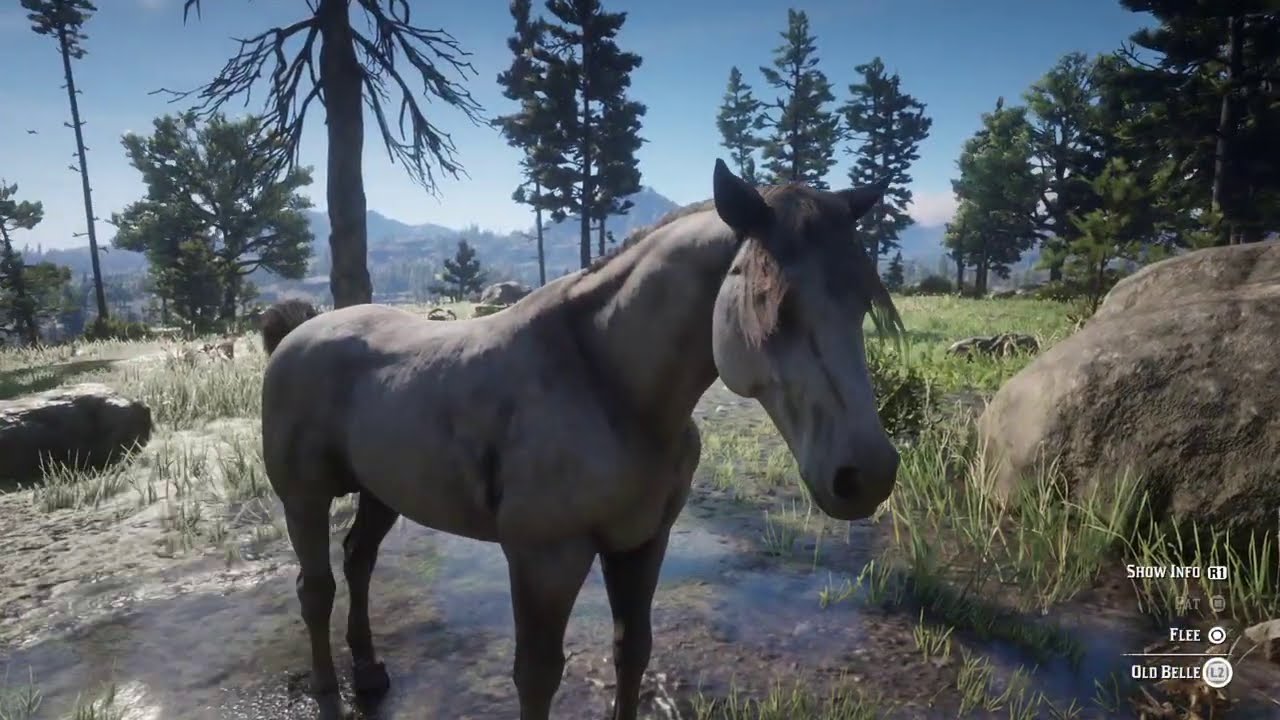 Rdr2 gang member horses as john glitch still works - YouTube