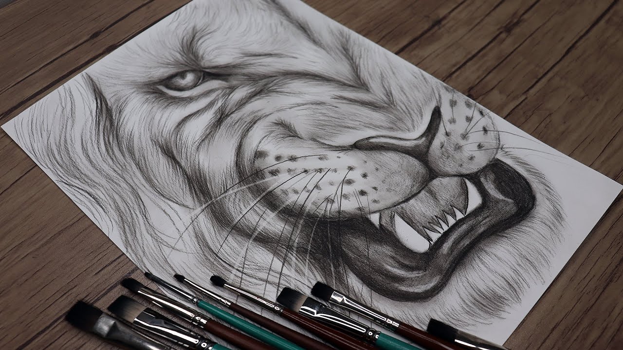 How To Draw a Fierce Lion Step by Step! - YouTube