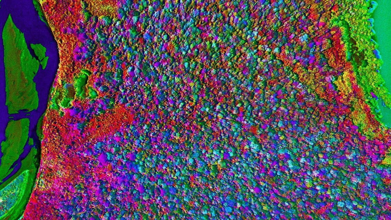 Amazing 3D Maps Reveal Biodiversity in the Amazon! - YouTube