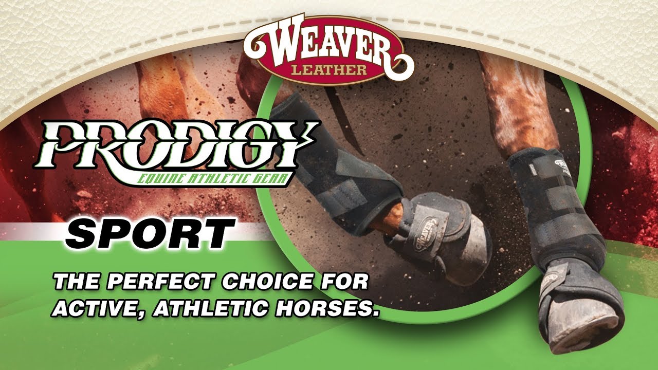 Prodigy® Sport Athletic Boots For Horses - YouTube