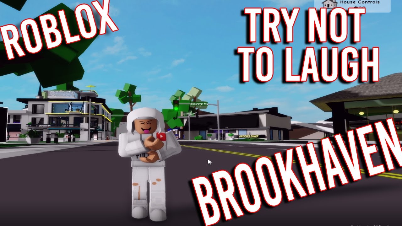 ROBLOX Brookhaven 🏡RP - Funny Moments 2 - YouTube