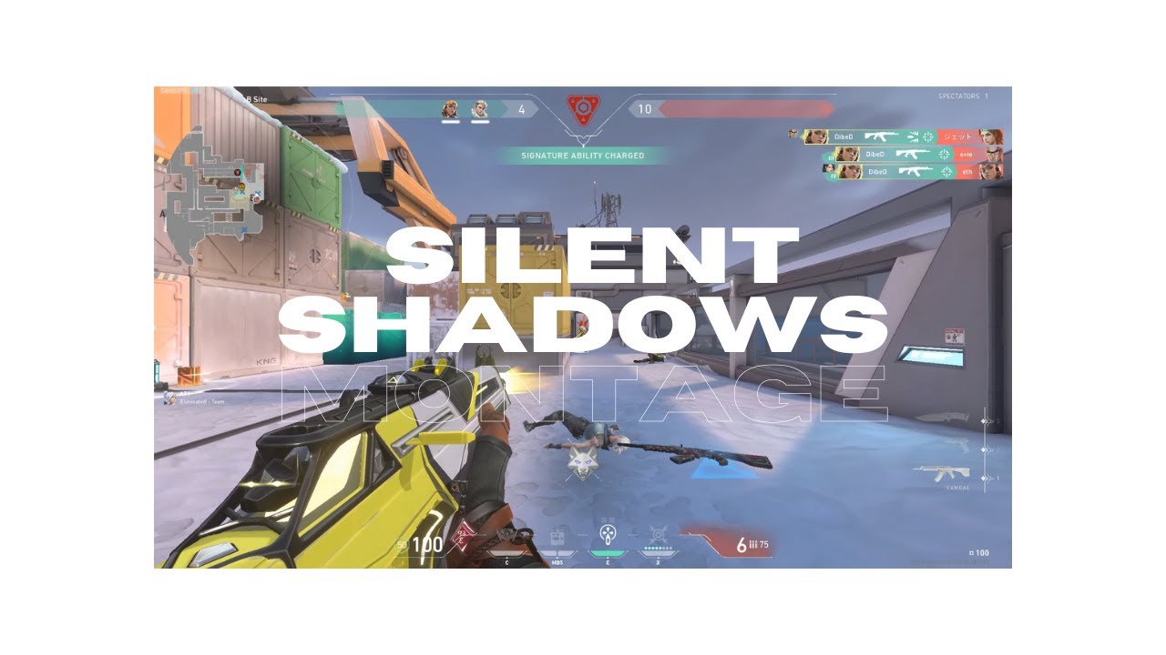 Silent Shadows 👤 (Valorant Montage) - YouTube