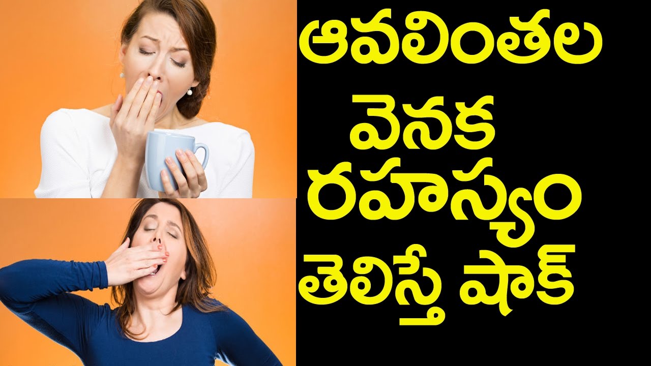ఆవలింతల వెనుకున్న అసలు రహస్యం ఇదే| Ever Wondered Why We Yawn|Friday ...